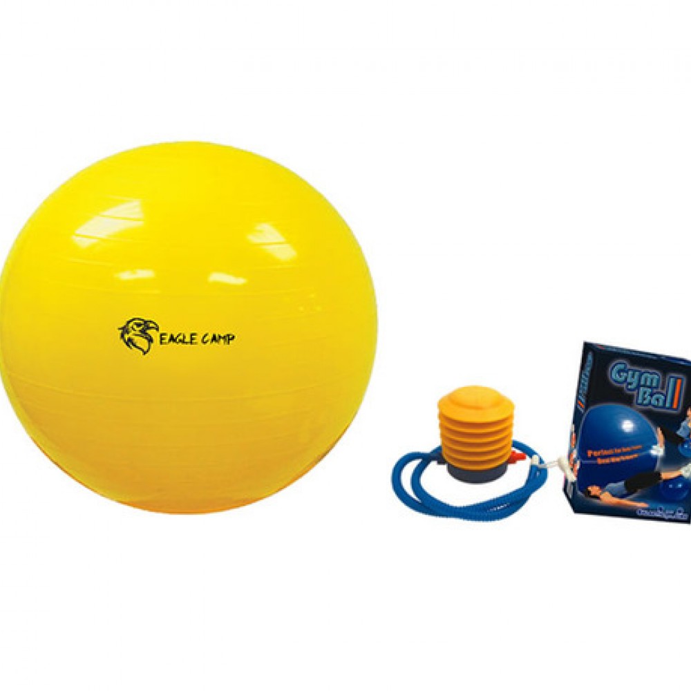 Custom Logo Exercise Gym Ball