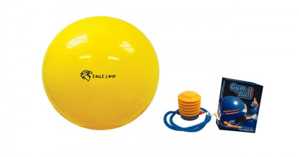 Custom Logo Exercise Gym Ball