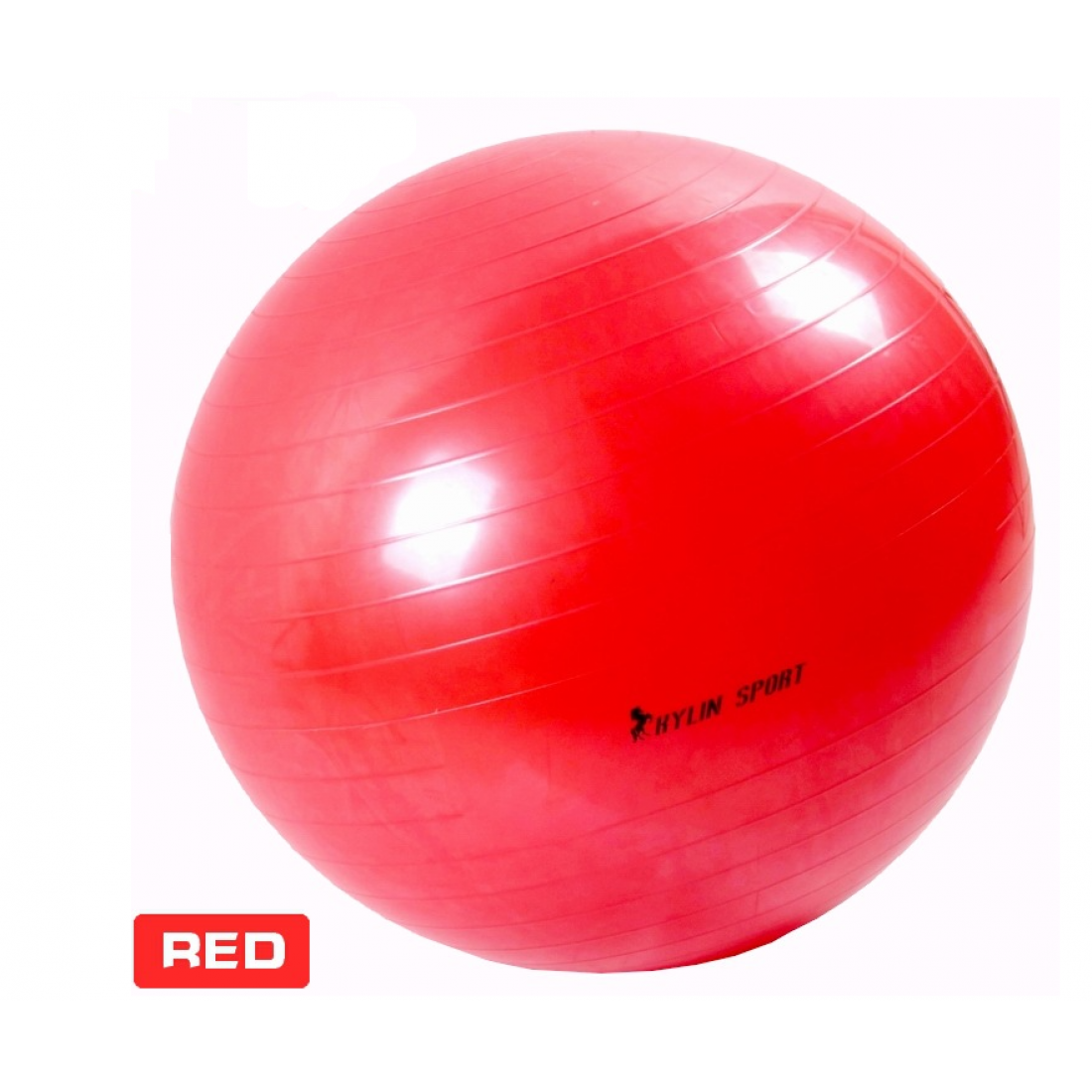 Custom Logo Exercise Gym Ball