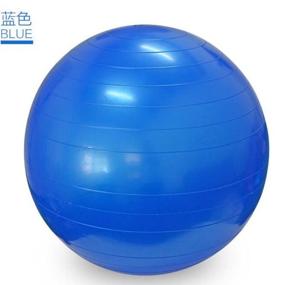 Custom Logo Exercise Gym Ball